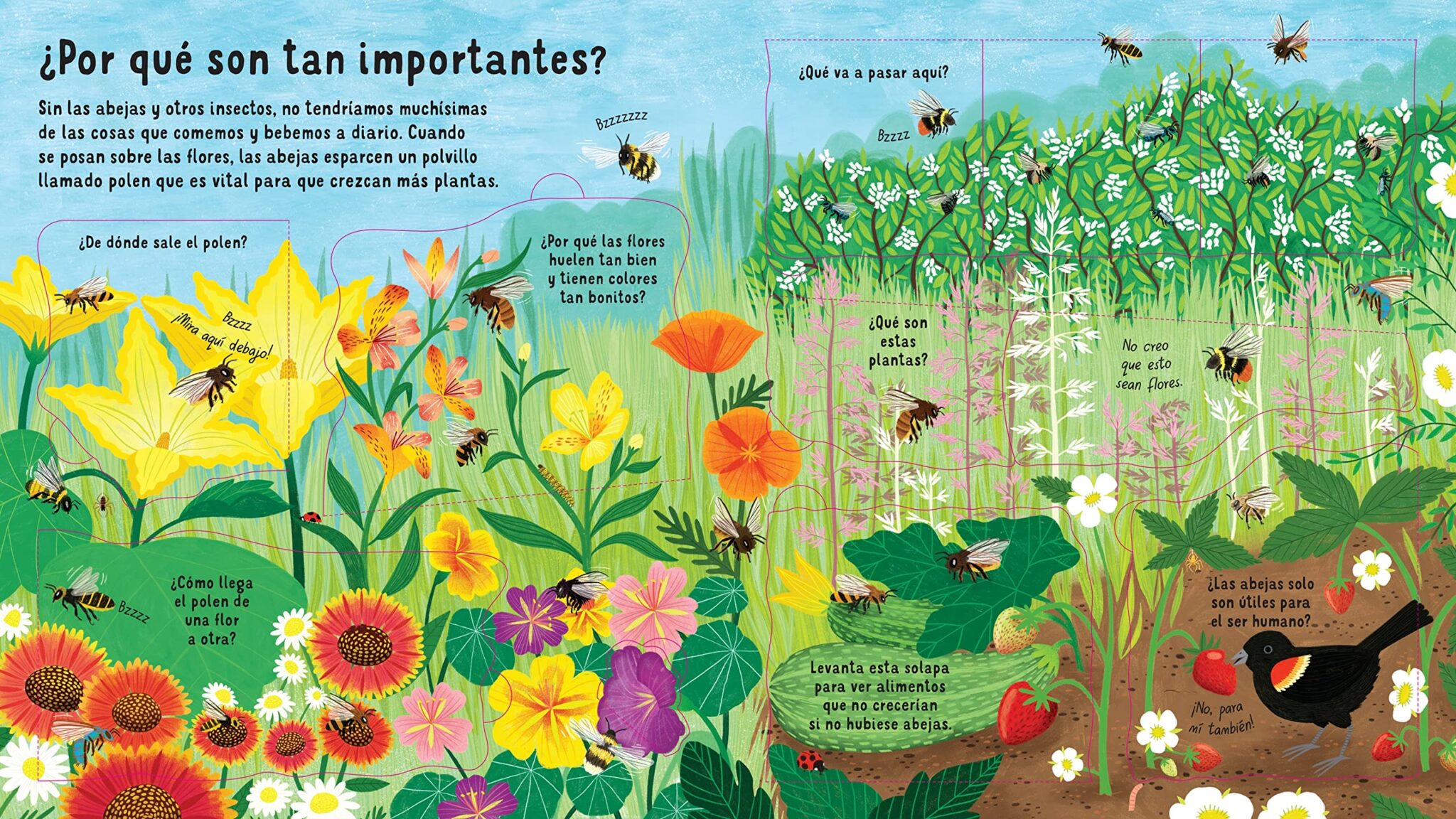 El mundo de las abejas | El Almacén de Cuentos