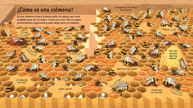 El mundo de las abejas | El Almacén de Cuentos