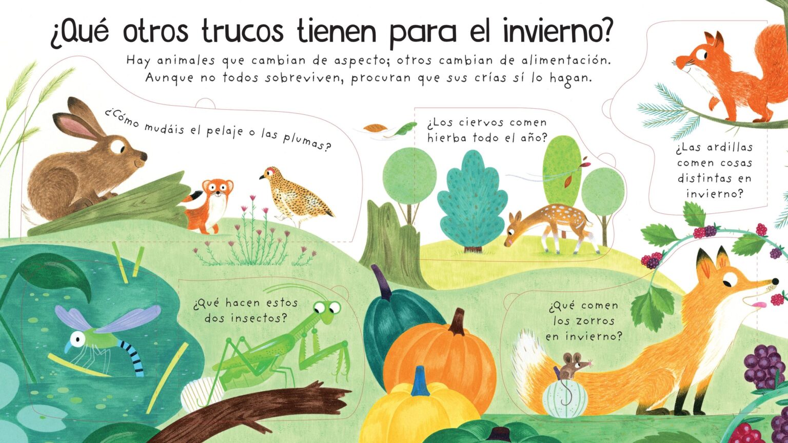 ¿Adónde van los animales en invierno? | El Almacén de Cuentos